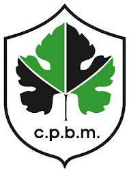 Rugby Infantil de CPBM