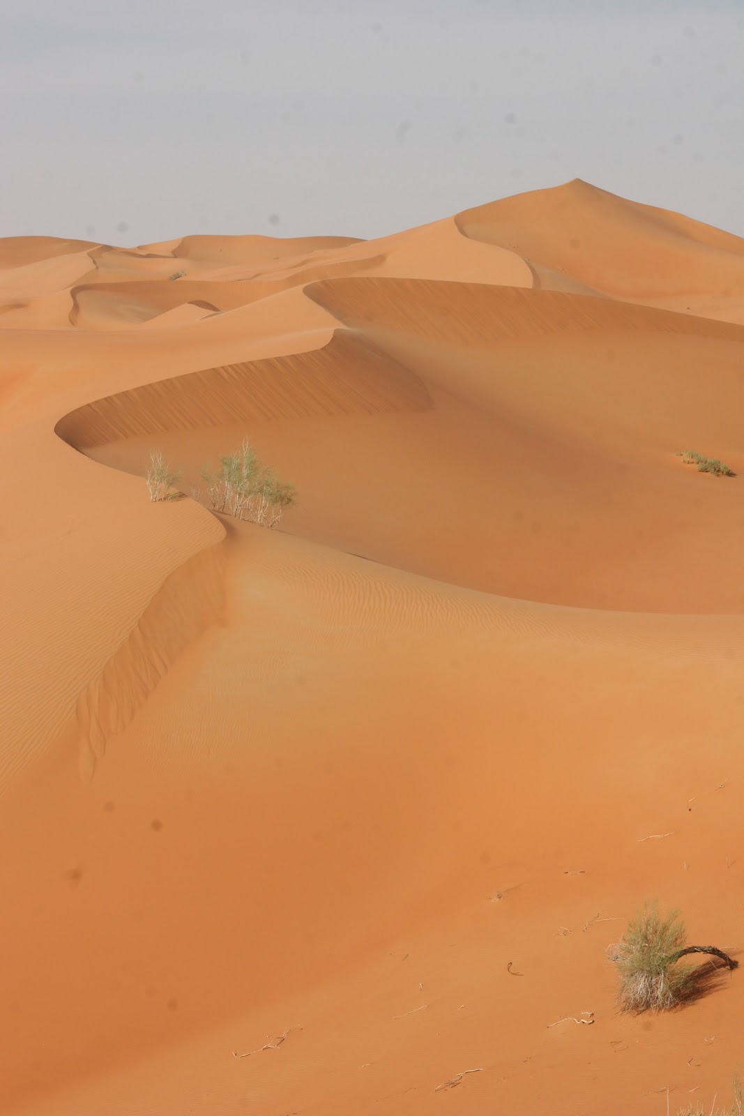 Saudi Scenes: Shaybah Dunes