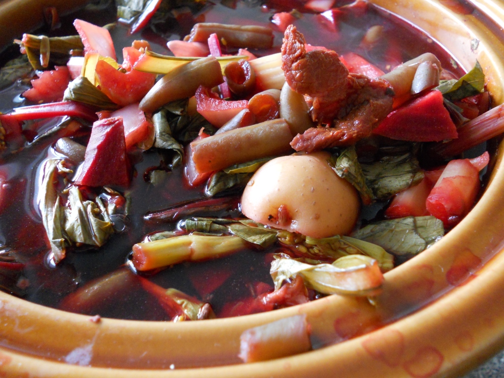 Snacking Squirrel: Crock Pot: Bison Potato Beet Stew in Miso Broth