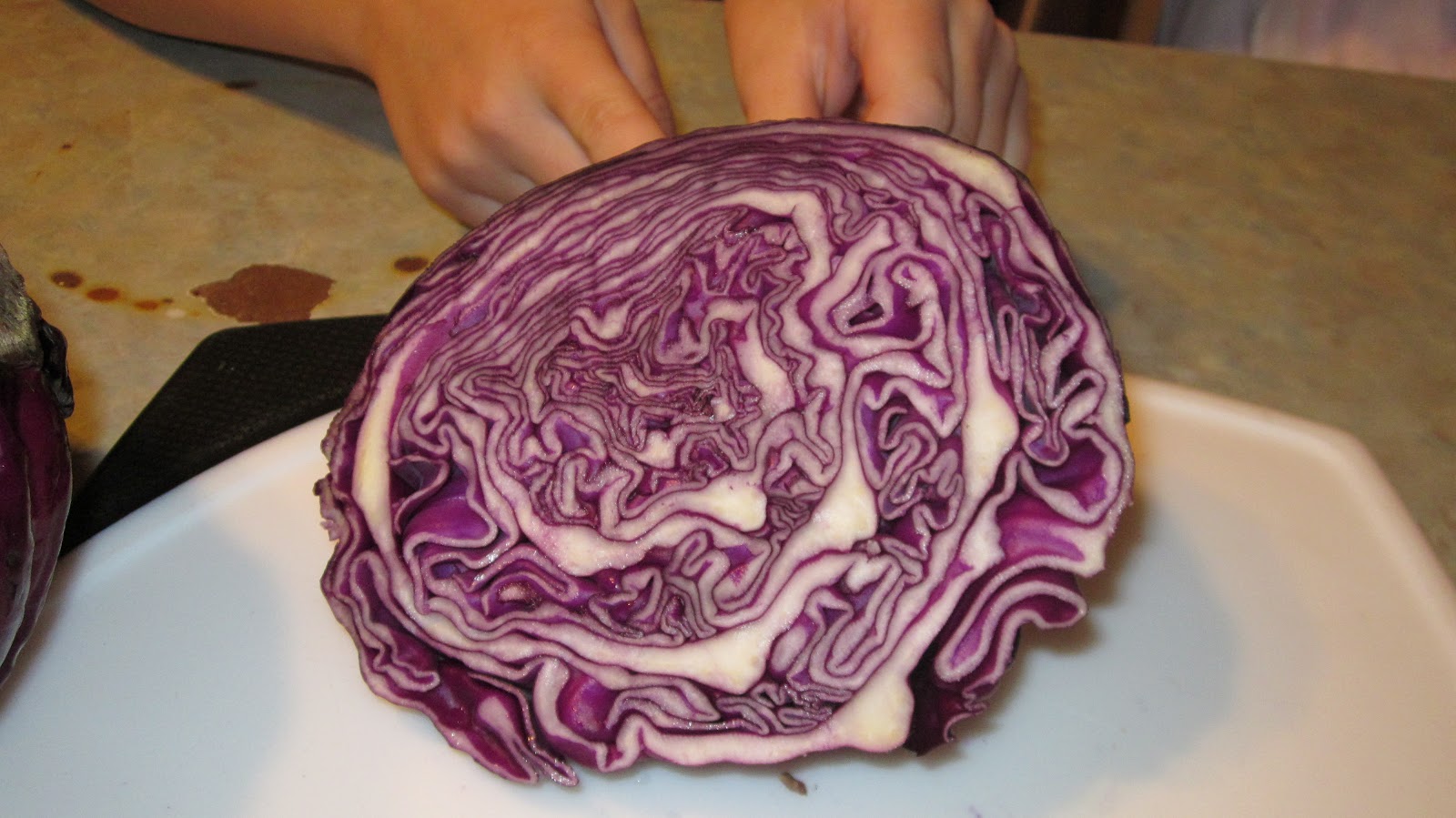 Science Mondays: Cabbage Litmus Paper