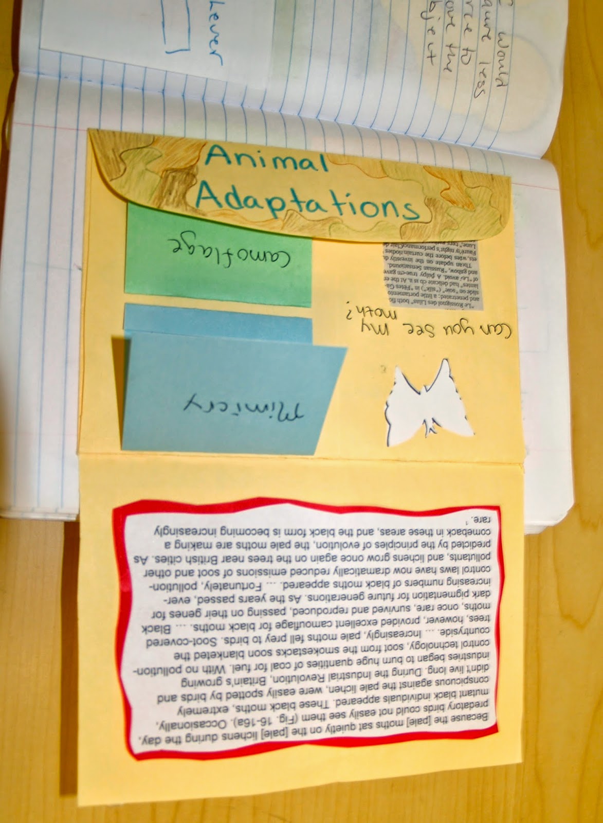 Envelopes and All The Cool Things You Can Do With Them! With Free ...