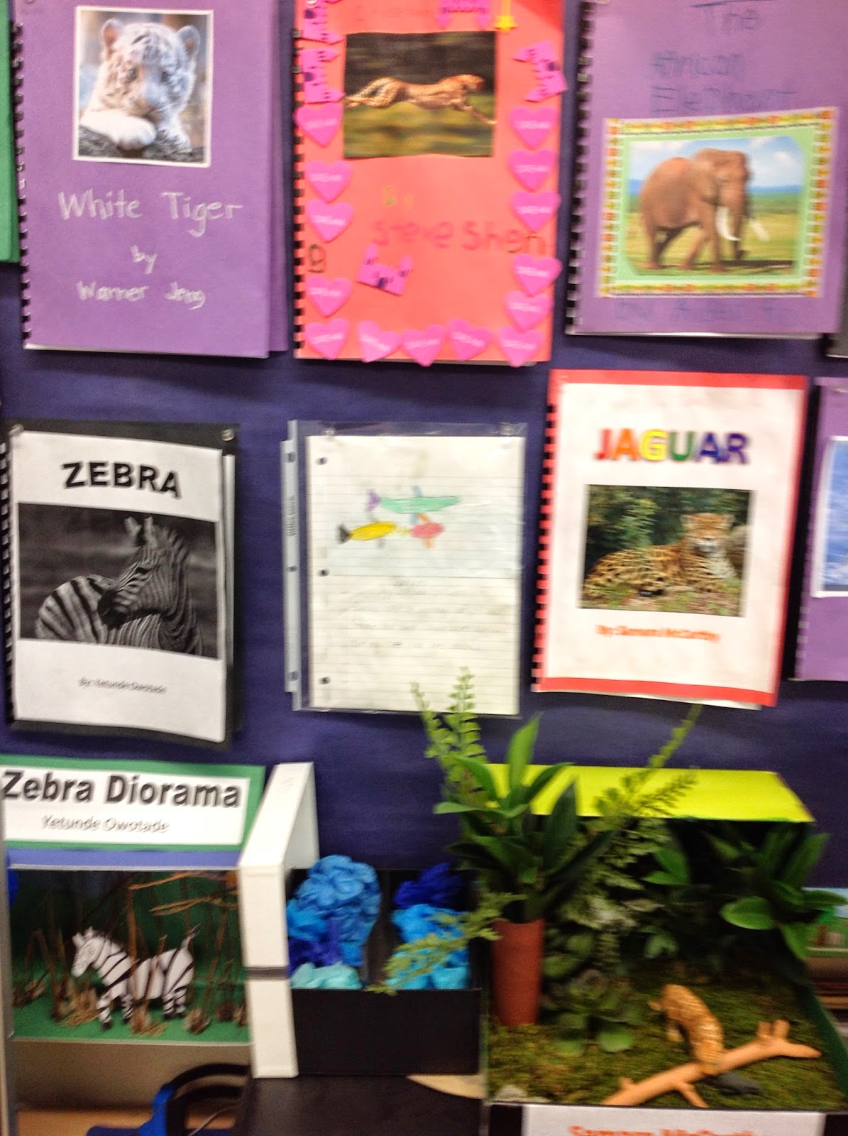 Animal Report and Diorama Projects