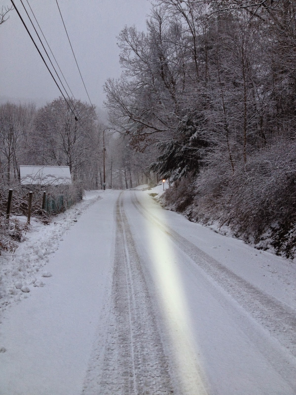 ~Maple Poplar~: ~My First Vermont Snow Day~