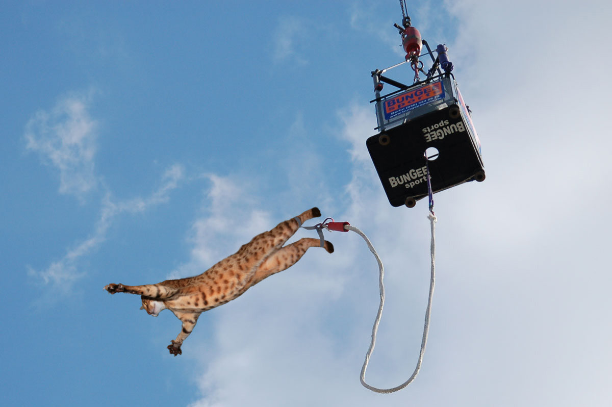 [The IPKat] Again on the first post-GS Media national decision