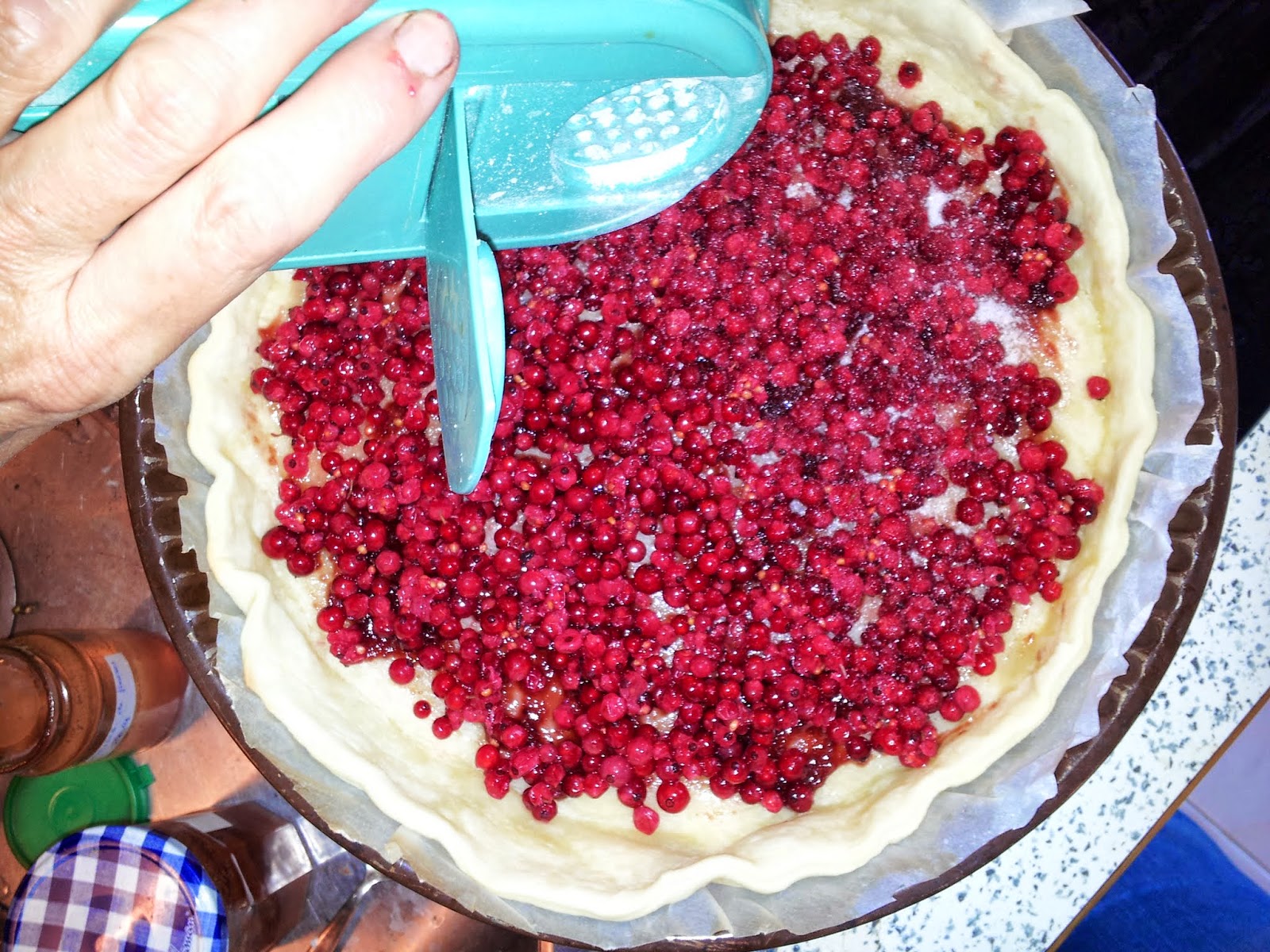 Le potager d'Andrée : 2014 juil 31 tarte aux groseilles rouges sans gluten