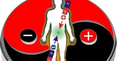 Biomagnetism USA™: Why does Biomagnetism work?