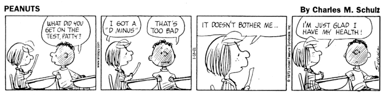 Insects in the City: The Exam Experience