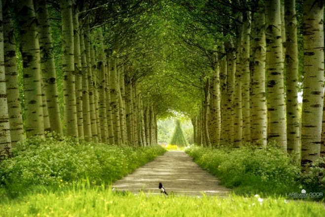 25 Most Amazing and Beautiful Nature Photography You'll Love