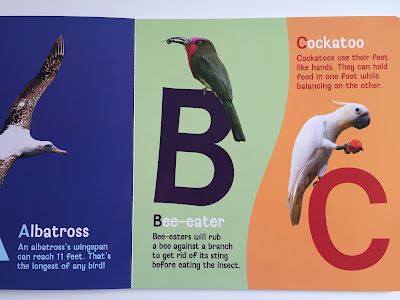 The Bookworm Baby: ABC Birds