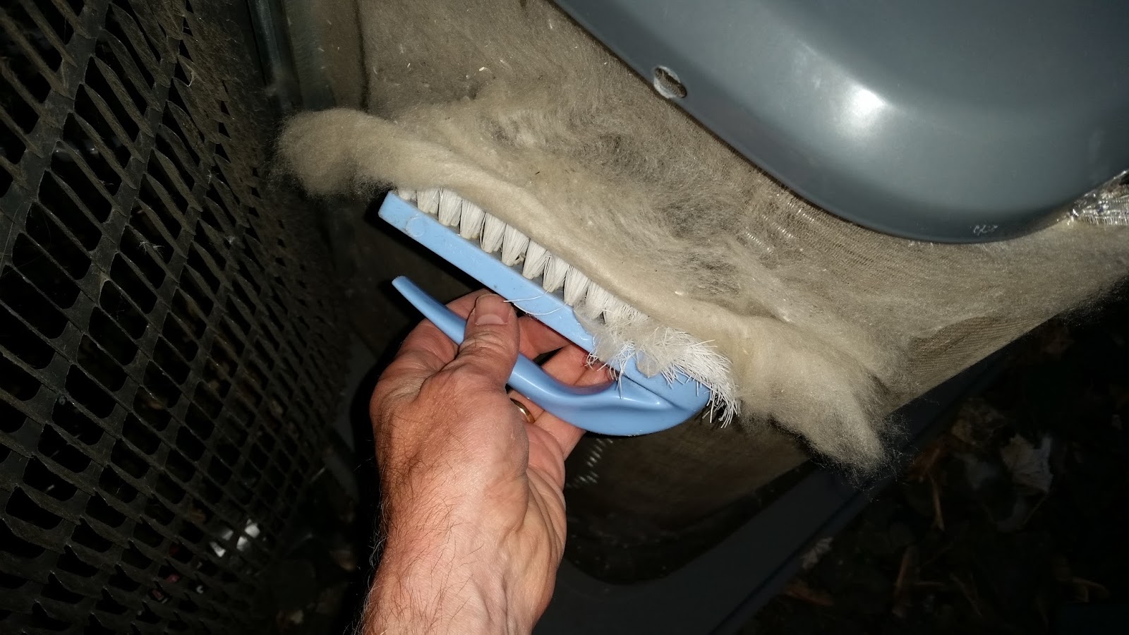 Sustainable Mycology: Cottonwood seeds vs AC condenser unit