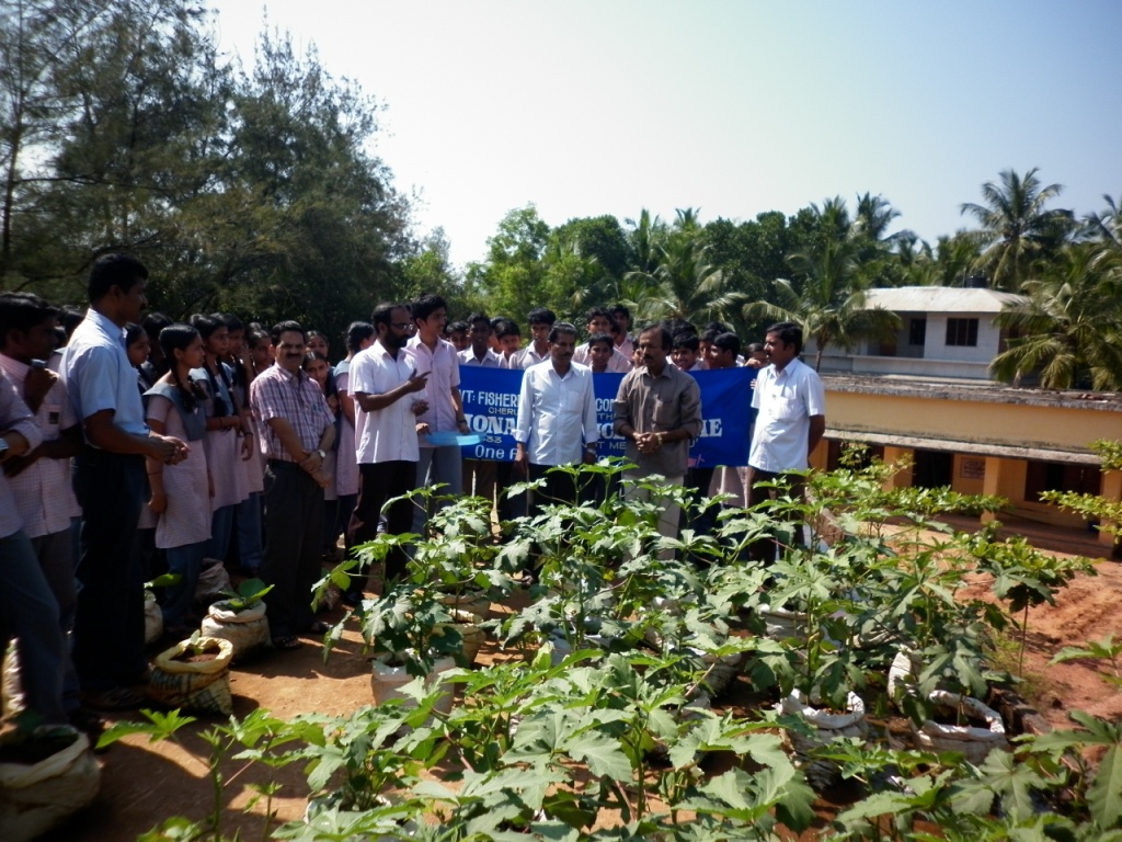 HIGHER SECONDARY NSS KASARAGOD: MY ACTIVITIES