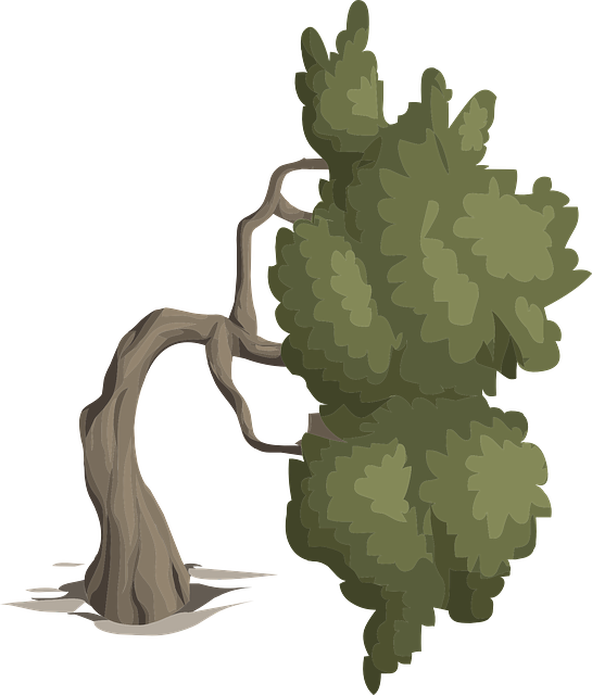 The Wheel Of Learning: 104. Aesop's Fables - The Ugly Tree