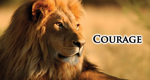 Quotes About Courage And Lions. QuotesGram