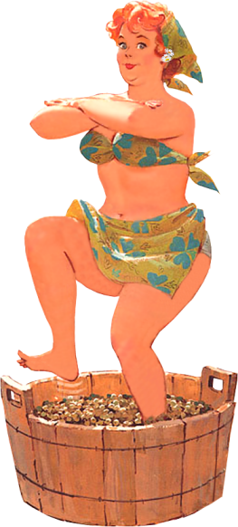 Forgetmenot Fat Women Hilda Pin Up