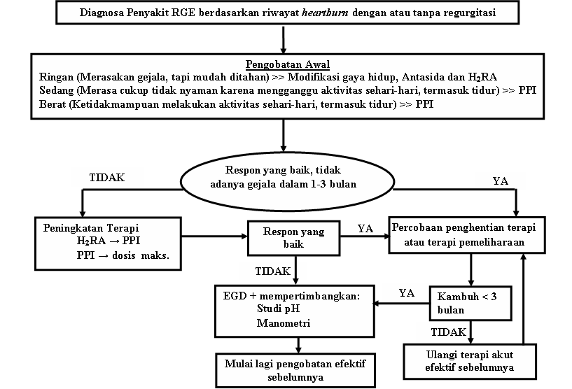 GERD (Gastro Esofagal Refluk Disesase) ~ Kedokteran dan Kesehatan