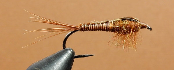 Flytying: New and Old: Brown Stonefly Creeper