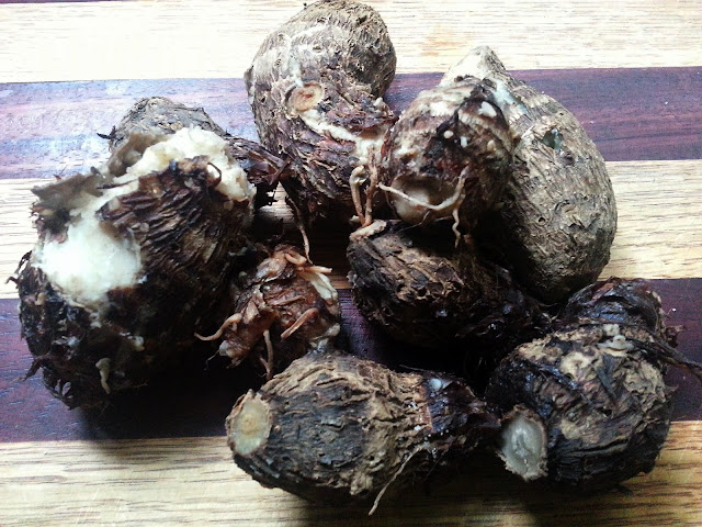 Amadumbe or Madumbis: a Traditional Harvest of Rural KwaZulu-Natal