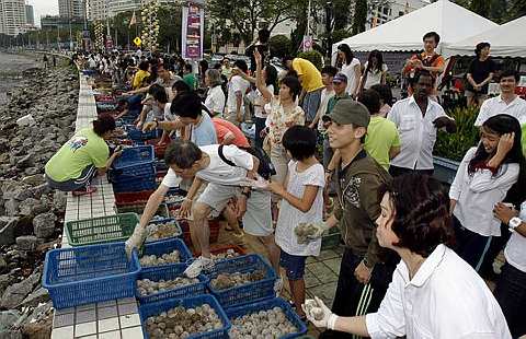 MNS Green Living: What are "E.M. Mudballs" and do they work?