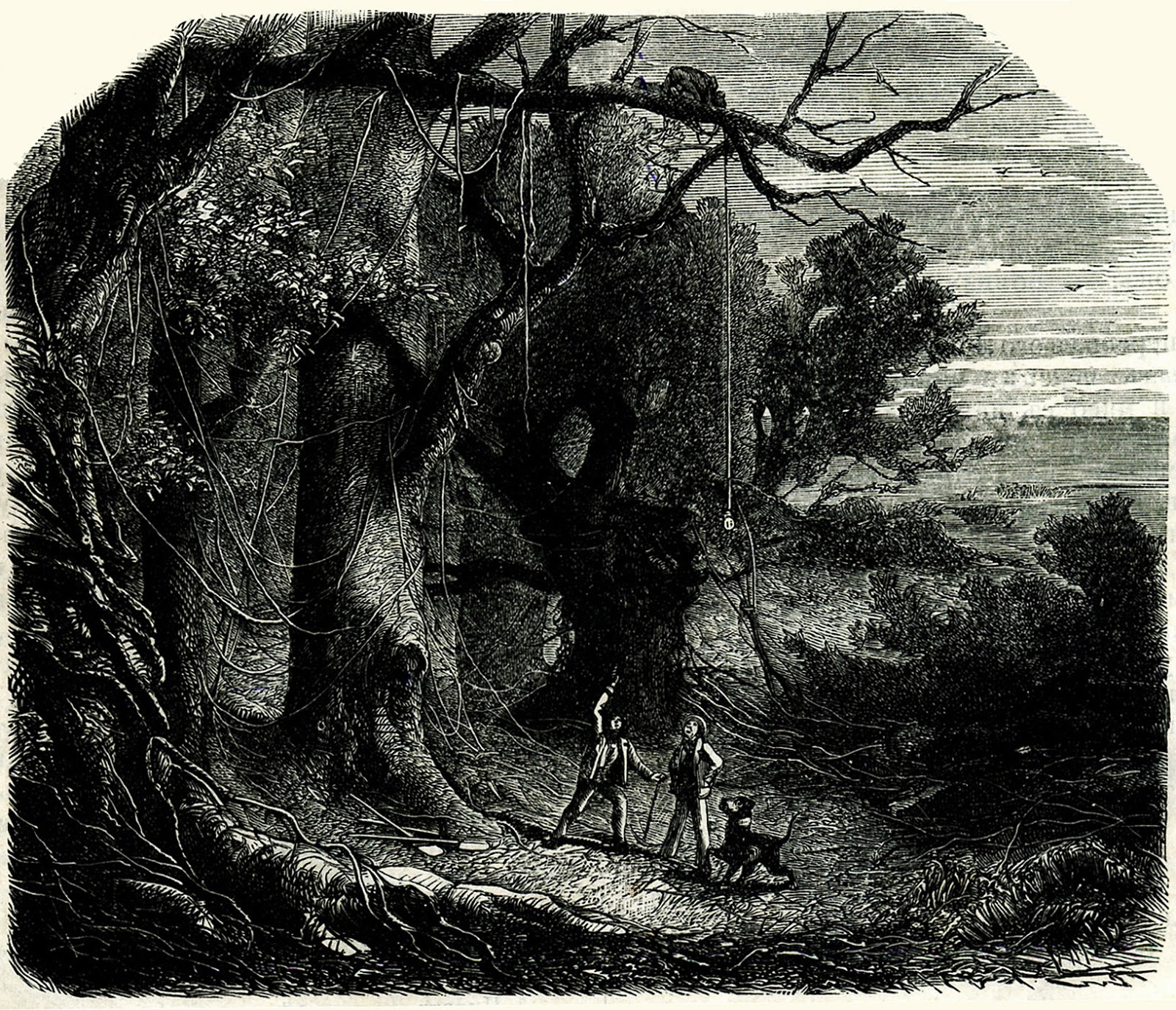 Searching for The Gold-Bug of Poe ~ INTRAVENOUS MAGAZINE: Your daily ...