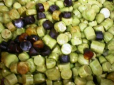 Amar'lubai "Kajian Lubai" : Kayu Kabau