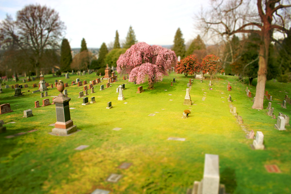 Modern Mormon Men: Mini Cemeteries