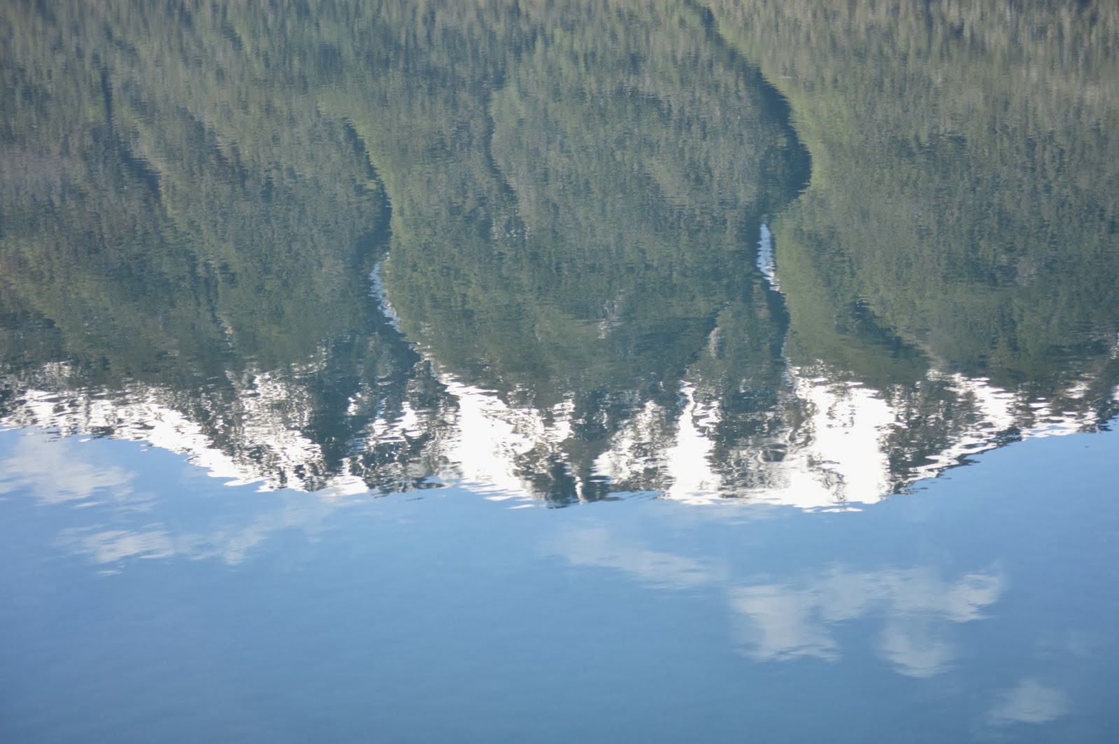 Scenic Cruising: Cockburn Channel, Glacier Alley and Beagle Channel