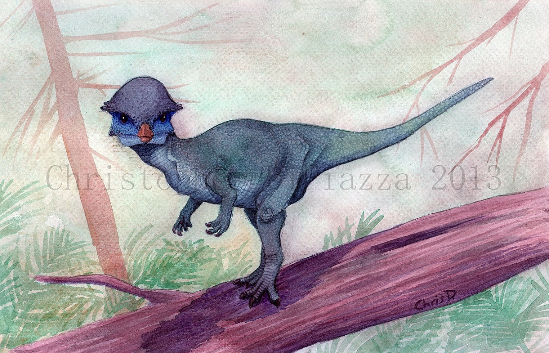 Prehistoric Beast of the Week: Acrotholus: Prehistoric Animal of the Week