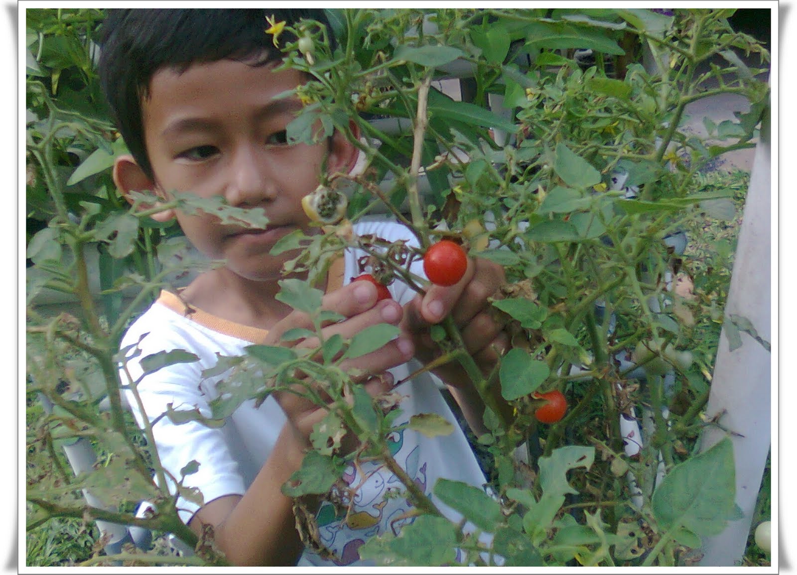 Rumah Tata: Berkunjung ke Parung Farm