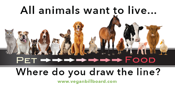 Seriously Tasty Meals: Where do you draw your line?