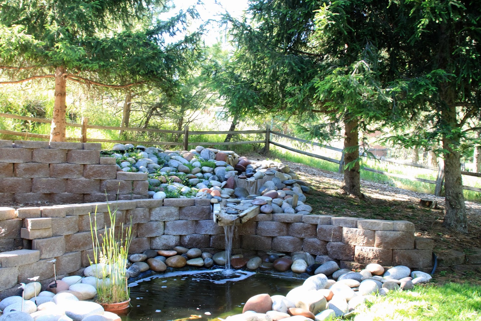 mimiberry creations: Cheap and Easy, Natural Pond Liner