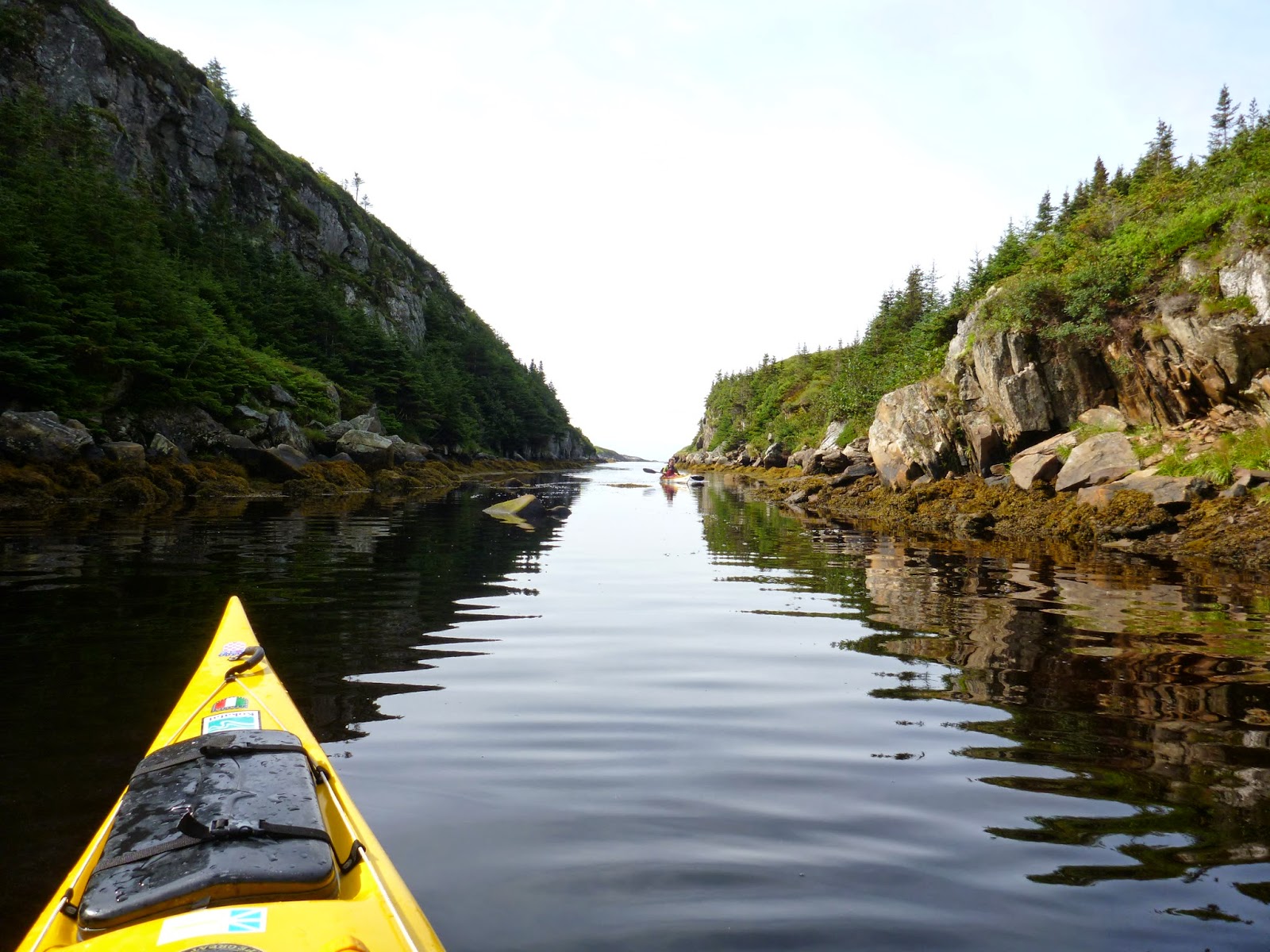 Newfoundland Sea Kayaking: Visit to the SW Coast