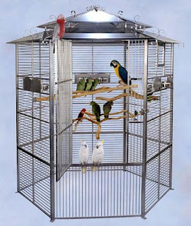 French Vocabulary Illustrated: volière