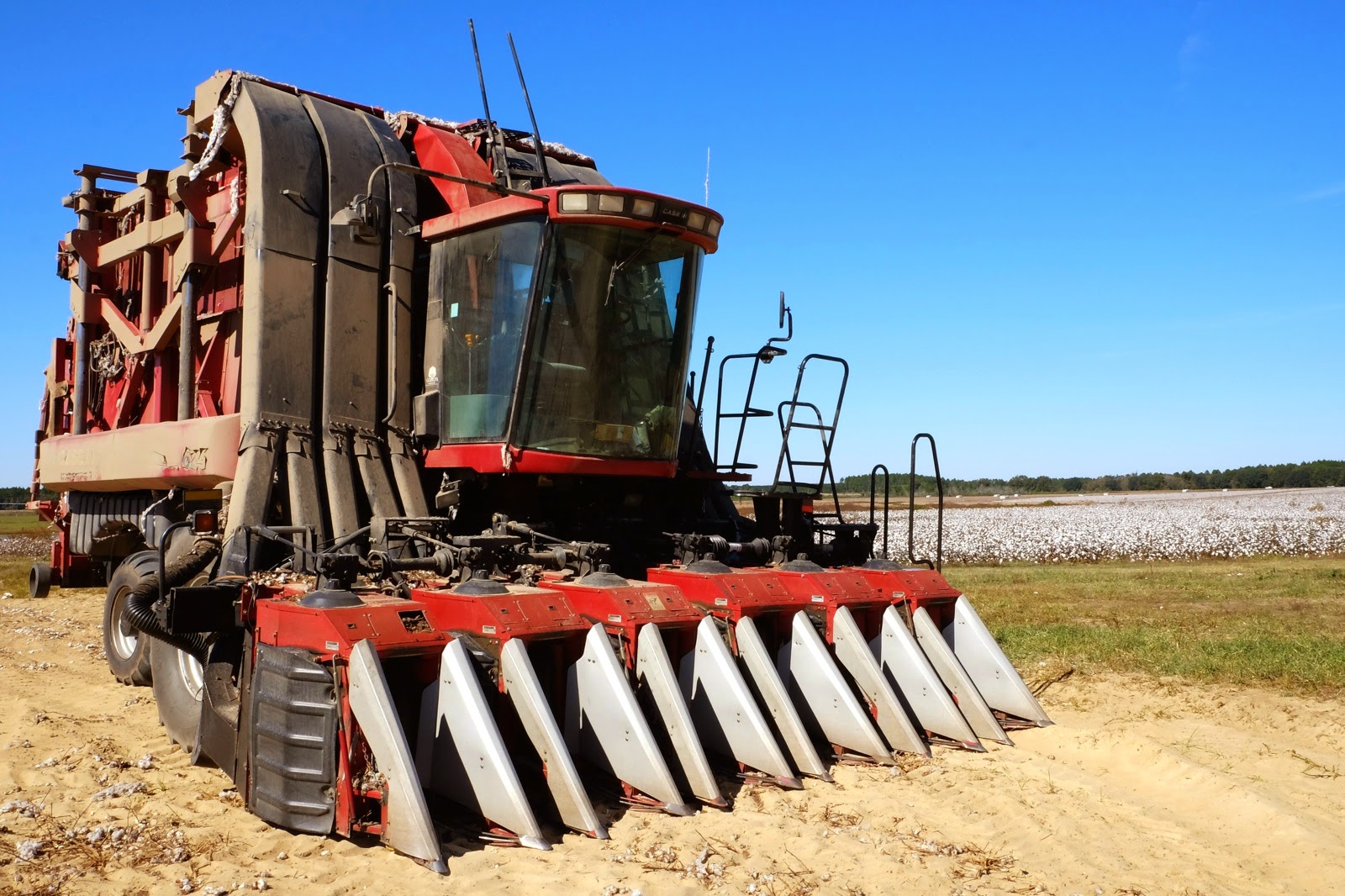 Andrea and Guido: Across the U.S., Day 27 - Thomasville (GA) to Mobile (AL)