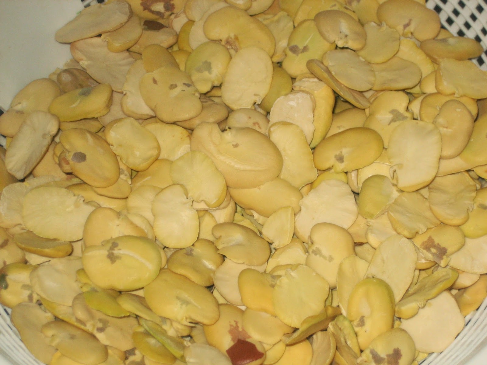 stuffedveggies: Greek Broad Beans (Fava Beans or Koukia)