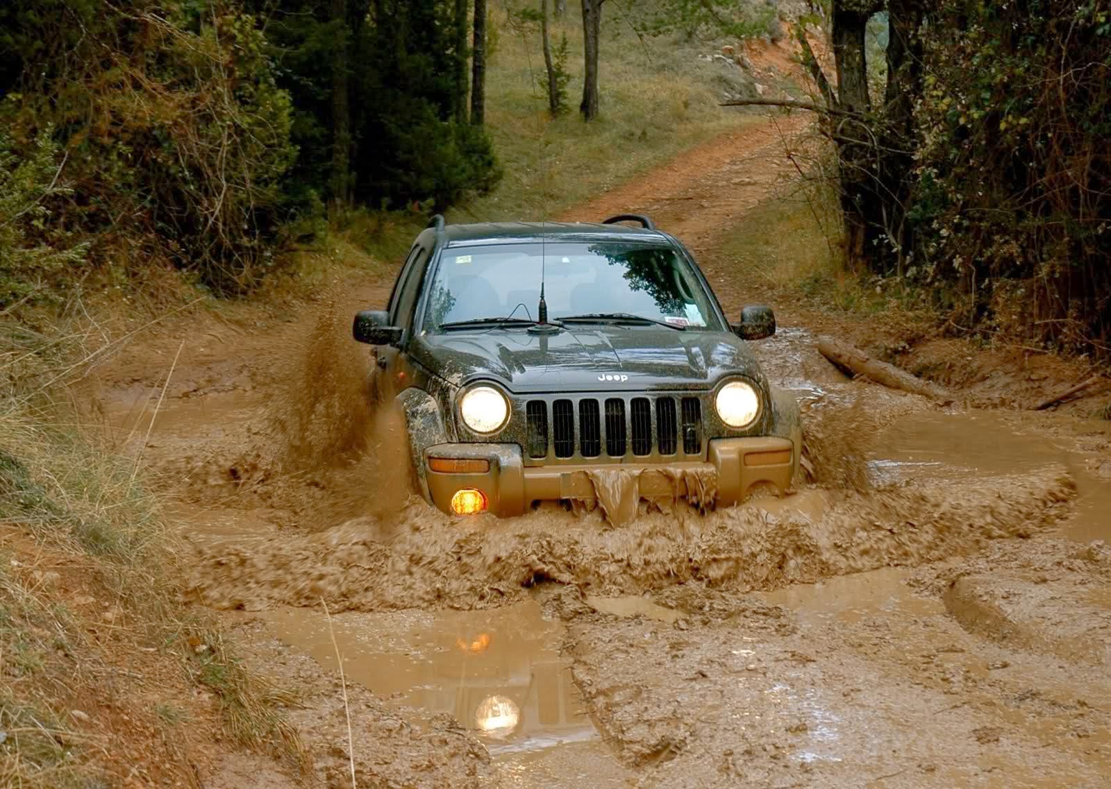 Cristal Products: FANGO POR TODAS PARTES