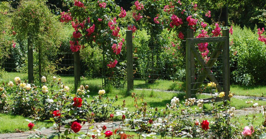 Poetry: There is another sky - Emily Dickinson