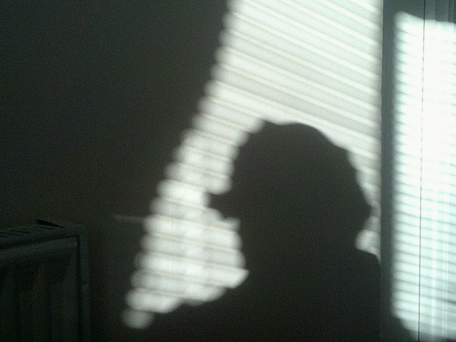 wigton physics: Weird shadow through a slatted blind
