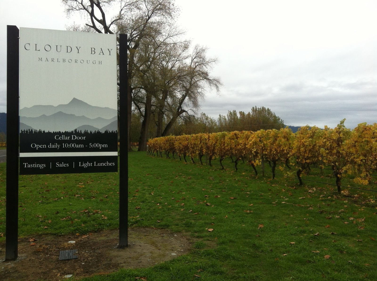 Le Chai Winemakers: Visiting Cloudy Bay and Hunter's