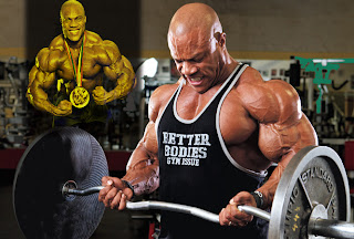 Overseas Fitness Gym - Bodybuilding Tips - Muscle Workout Routines Top ...