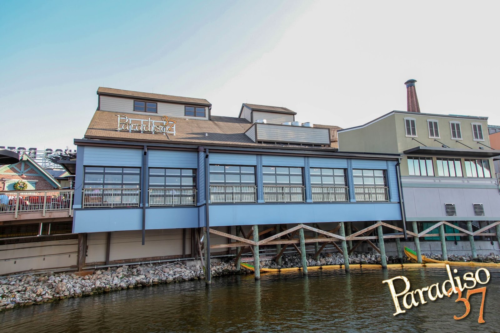 Disney Avenue: Paradiso 37 at Disney Springs Review