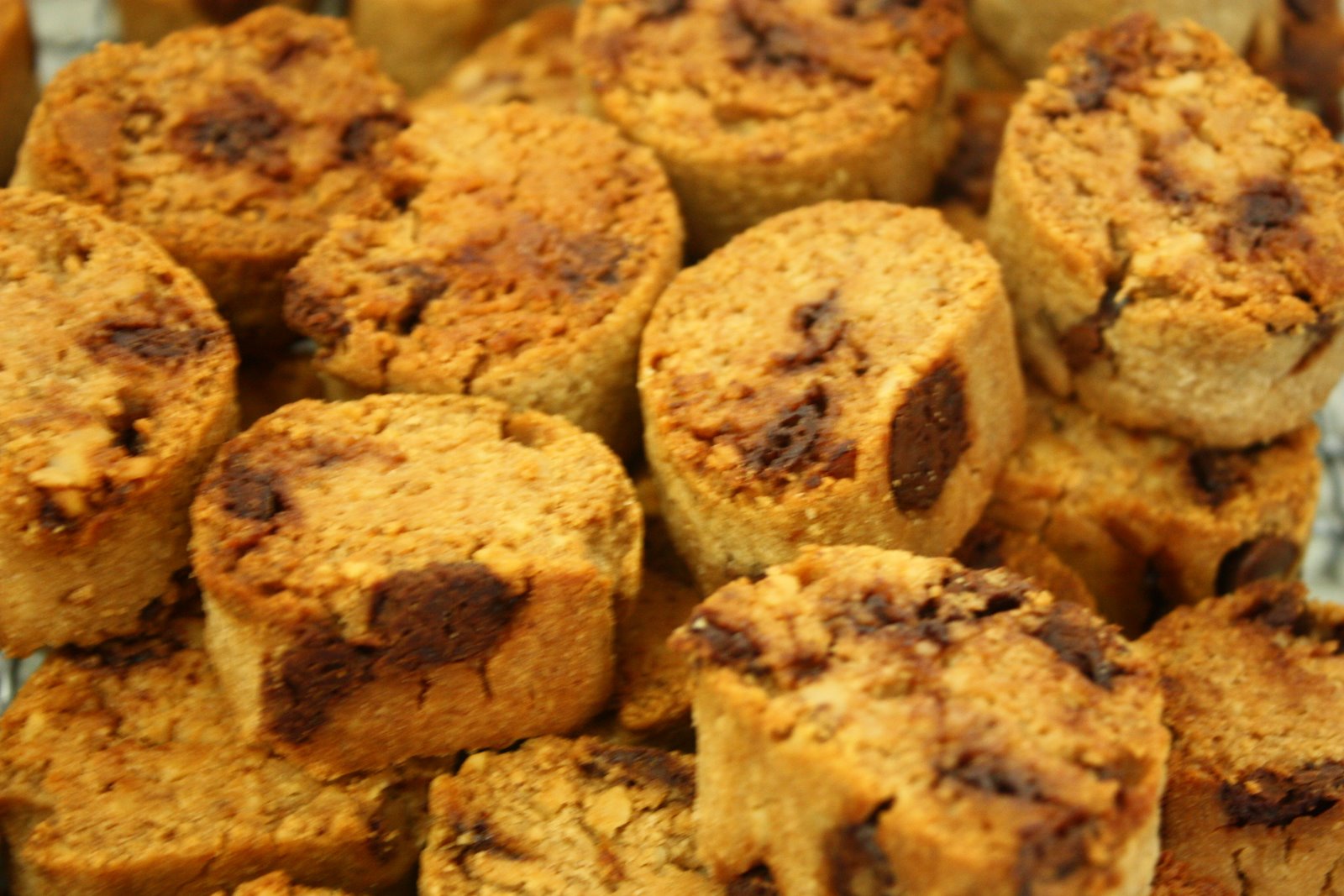 Andrea K: Kamish Broit de Pessach