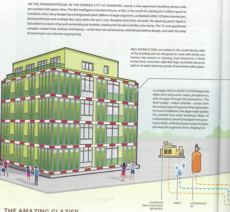 The Unstable Nucleus: Algae Haus