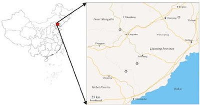 Paleontología y Evolución en la UCM: PTEROSAURIOS POR EL MUNDO