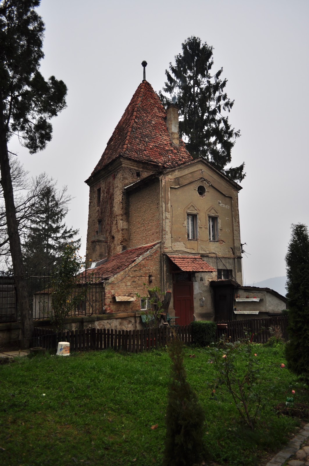 Poze, Natura, Animale, Plante, Romania, Valcea, Ionut Ungureanu