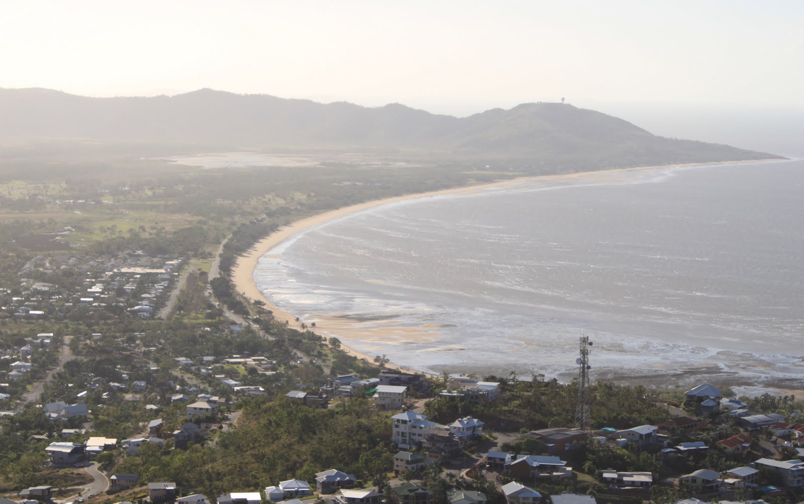 Baby Rugger: Koala's are surprisingly dumb.