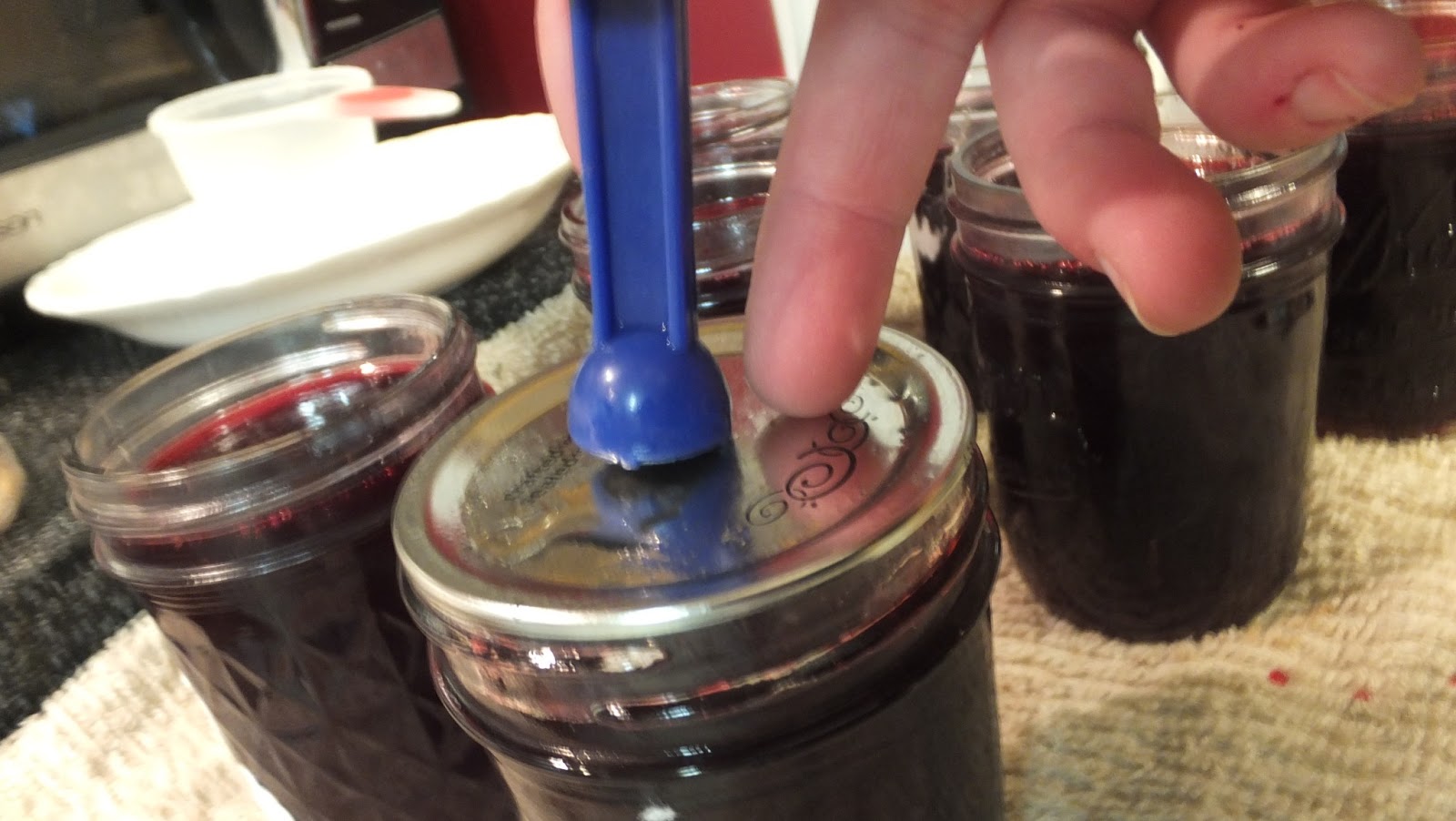 Quest 3: Red Chu Jelly - The Zelda Gourmet