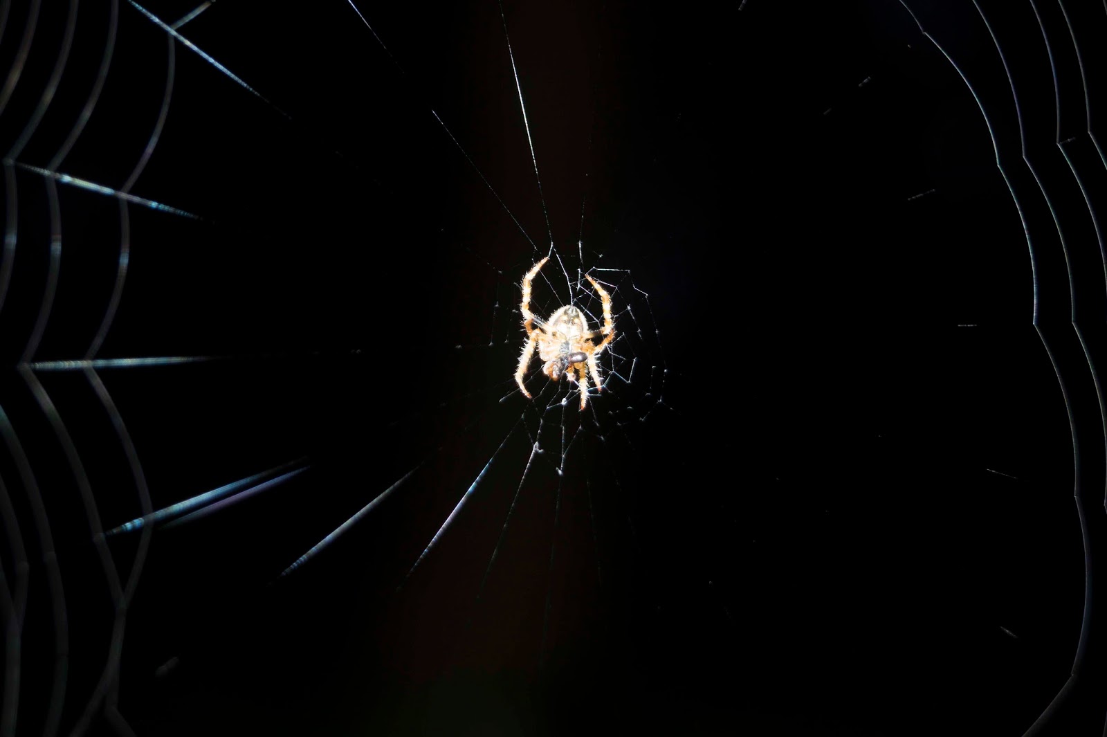 ഇത്തിരിവെട്ടം