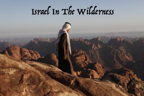 JCPenny's Musings: Israel In The Wilderness- Part 17