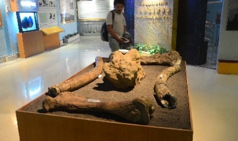 Museum Purbakala Sangiran Jawa Tengah | Pesona Keindahan Alam Indonesia