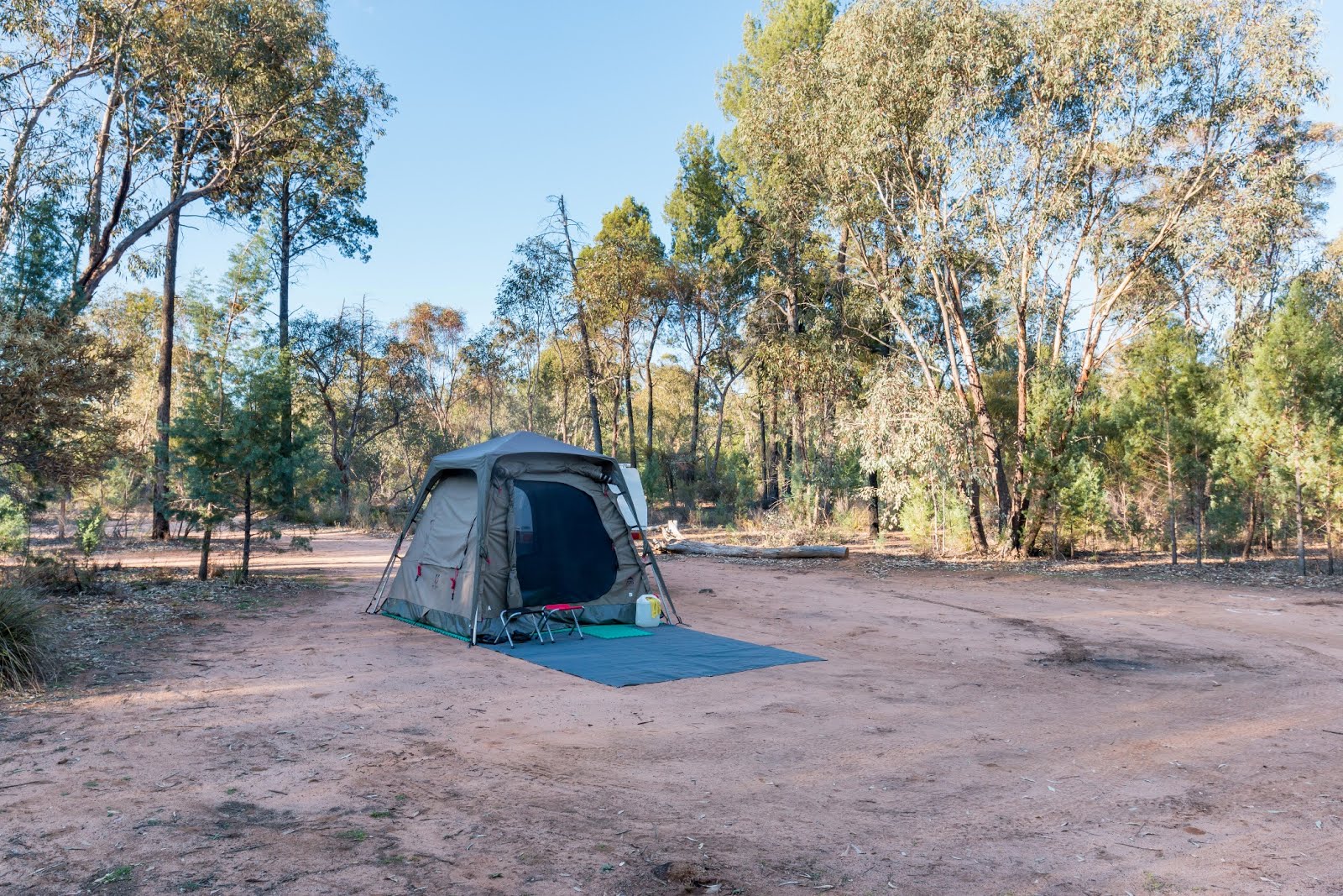 National Park Odyssey: Sculptures in the Scrub Picnic Area and ...